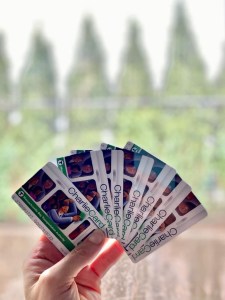 Somerville Charlie Cards Available | The Somerville/Medford News Weekly