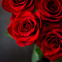 Somerville/Medford Remembering Roberta J. (Perry) O’Brien | The ...